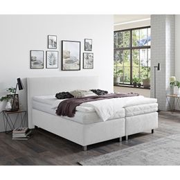 Westfalia Schlafkomfort Boxspringbett &raquo;Florenz in den Breiten 160x200, 180x200cm & 200x200cm&laquo; Verchromte Metallf&uuml;&szlig;e, die die Kopfteilform aufgreifen wei&szlig; Microvelours Mit 