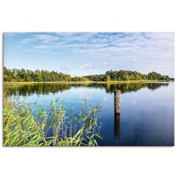 Artland Wandbild &raquo;Krakower See in der Stadt Krakau am See&laquo; Gew&auml;sser 1 Stk. tlg. als Alubild, Leinwandbild, Poster, Wandaufkleber in verschied. Gr&ouml;&szlig;en Leinwand