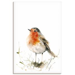 Artland Wandbild &raquo;Aquarell Rotkehlchen&laquo; Vogelbilder 1 Stk. tlg. als Alubild, Leinwandbild, Poster, Wandaufkleber in verschied. Gr&ouml;&szlig;en bunt Leinwand B/H/T: 