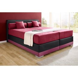 Maintal Boxspringbett &raquo;Lago&laquo; in 3 verschiedenen Matratzenarten, H2 oder H3 rot Bezug Kopteil und seitliche Unterbox wahlweise Microvelours aus 100% Polyester 