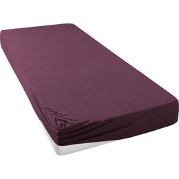 OTTO home Spannbettlaken &raquo;SOUCY aus Baumwolle mit Elasthan, 160 g/m&sup2;&laquo; Premium Bettlaken f&uuml;r Matratzen bis 30 cm H&ouml;he, optimale Passform rot Jersey-