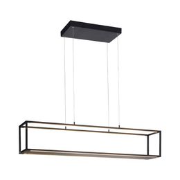 Paul Neuhaus Pendelleuchte &raquo;CONNI&laquo; LED-Board 1 Stk. Warmwei&szlig; LED, dimmbar &uuml;ber Touchdimmer, Memory, nach Trennung vom Netz schwarz 4, H: 120cm, 1 Stk.