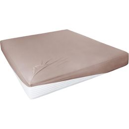 Primera Spannbettlaken &raquo;Elasthan-Feinjersey&laquo; PREMIUM, aus 95% gek&auml;mmter Baumwolle und 5% Elasthan, bis 28 cm H&ouml;he braun Jersey-Elasthan, Obermaterial: 95% 