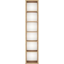 Aktenregal &raquo;Elio&laquo; 1 Stk. tlg. Kollektion in edles Design braun Holzwerkstoff B/H/T: 44cm x 210cm x 36cm, 6 Stk. offene F&auml;cher