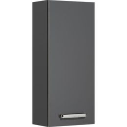H&auml;ngeschrank &raquo;Quickset Wand-Badschrank 25 cm breit mit 1 T&uuml;r und 2 Einlegeb&ouml;den&laquo; Badezimmer-H&auml;ngeschrank inkl. T&uuml;rd&auml;mpfer, Griffe in Chrom Glanz grau 