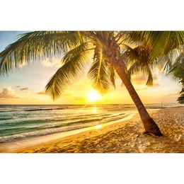papermoon Fototapete &raquo;Barbados Palm Beach&laquo; glatt bunt Vlies B/L: 5m x 2,8m, Bahnen: 10 Stk.