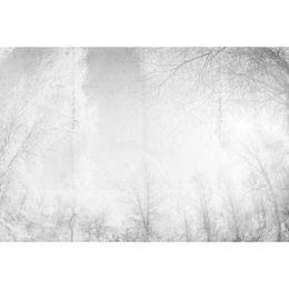 ARCHITECTS PAPER Fototapete &raquo;Atelier 47 Forest Glade 1&laquo; Wald glatt Vlies, Wand, Schr&auml;ge, Decke grau Vlies B/L: 4m x 2,7m