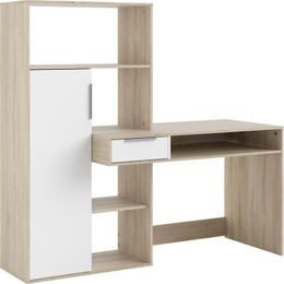 Home Affaire Regal-Schreibtisch &raquo;Function Plus, Standregal, Aktenregal, Stauraumregal, Multifunktional,&laquo; mit 1 Schublade, 1 T&uuml;r, Regal und F&auml;chern 