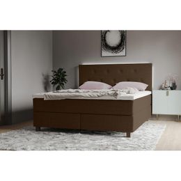 Home Affaire Boxspringbett &raquo;Alenika&laquo; mit LED - Beleuchtung, mit Taschen-Federkernmatratze braun 100% Polyester Struktur PUR-Schaum-Topper RGB-LED-