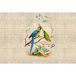 Livingwalls living walls Fototapete &raquo;Walls by Patel Voli&egrave;re&laquo; glatt Vlies, Wand beige Vlies B/L: 4m x 2,7m