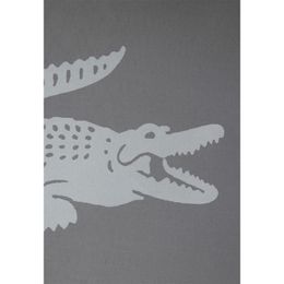 Lacoste Plaid &raquo;LREFLET&laquo; mit Label-Applikationen grau Baumwolle B/L: 130cm x 170cm