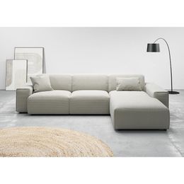Home Affaire Ecksofa &raquo;Glimminge auch in Breitcord, Feincord, Boucl&eacute; + Easy care-Bezug&laquo; L-Form, Breite 294, Zierkissen grau 12% Polyaxryl, 88% 