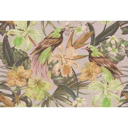 Livingwalls living walls Fototapete &raquo;Walls by Patel Exotic Birds 2&laquo; glatt Vlies, Wand, Schr&auml;ge beige Vlies B/L: 4m x 2,7m
