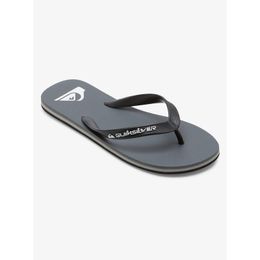 Quiksilver Herren Zehentrenner &raquo;MOLOKAI CORE&laquo; Sommerschuhe grau 42