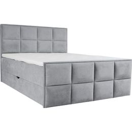 Home Affaire Boxspringbett &raquo;Timeo&laquo; in den Breiten 120,140,160 & 180 cm erh&auml;ltlich grau Holz teilmassiv Samtvelours Holz teilmassiv, Liegefl&auml;che B/L: 
