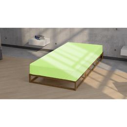 Biberna Betttuch &raquo;Bettlaken&laquo; w&auml;rmender Feinbiber, ohne Gummizug, hautsympathisch + atmungsaktiv gr&uuml;n Biber, Obermaterial: 100% Baumwolle B/L: 220cm x 270cm, 1