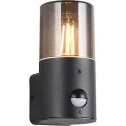 Trio Leuchten Au&szlig;en-Wandleuchte &raquo;HOOSIC, Outdoor Wandlampe exkl 1x E27 max 28W, Hauswand-Leuchte&laquo; E27 1 Stk. warmwei&szlig; - kaltwei&szlig; Garten Wandleuchte 