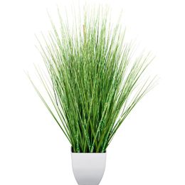 Creativ green Kunstgras &raquo;Grasbusch&laquo; im wei&szlig;en Topf gr&uuml;n Kunststoff B/H/L: 77cm, 1 Stk.