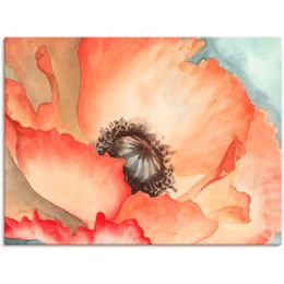 Artland Leinwandbild &raquo;Wasserfarben Mohn II&laquo; Blumen 1 Stk. tlg. auf Holzrahmen gespannt rot Leinwand B/H/T: 40cm x 30cm, Leinwandbild Blumen Querformat, 1 Stk.