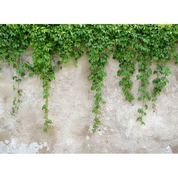 Livingwalls living walls Fototapete &raquo;Designwalls Climbing Leaves&laquo; glatt Vlies, Wand, Schr&auml;ge, Decke gr&uuml;n Vlies B/L: 3,5m x 2,55m