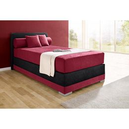 Maintal Boxspringbett &raquo;Lago&laquo; in 3 verschiedenen Matratzenarten, H2 oder H3 rot Bezug Kopteil und seitliche Unterbox wahlweise Microvelours aus 100% Polyester 