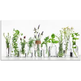 Artland Wandbild &raquo;&Ouml;le mit Kr&auml;utern&laquo; Kr&auml;uterbilder 1 Stk. tlg. als Alubild, Leinwandbild, Poster, Wandaufkleber in verschied. Gr&ouml;&szlig;en gr&uuml;n B/H/T: 60cm x 30cm, 