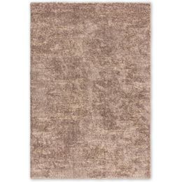 Astra Teppich &raquo;Salerno 250&laquo; rechteckig 30 mm H&ouml;he dichter Indoor Teppich, Designed in Germany, Oeko-Tex Polyester B : 200cm 1 Stk., 30mm, L: 290cm