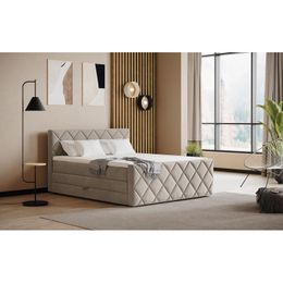 COTTA Boxspringbett &raquo;Tower inkl. Bettkasten, mit Keder in abgesetzter Farbe&laquo; in verschiedenen Breiten, H&auml;rtegraden und Farben erh&auml;ltlich 100% 