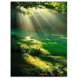Artland Wandbild &raquo;Lichtkegel&laquo; Wald 1 Stk. tlg. als Leinwandbild, Poster in verschied. Gr&ouml;&szlig;en gr&uuml;n B/H/T: 60cm x 80cm, Leinwandbild Wald Hochformat, 1 Stk.