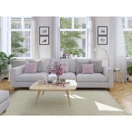Dekowe Sisalteppich &raquo;Mara S2 mit Bord&uuml;re Spezial&laquo; rechteckig 5 mm H&ouml;he 100% Sisal, auch als L&auml;ufer, Wohnzimmer beige Sisal B : 300cm 1 Stk., 5mm, L: 400cm