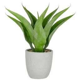 Creativ green Kunstpflanze &raquo;Agave&laquo; mit 13 Agavenbl&auml;ttern gr&uuml;n Kunststoff B/H/L: 55cm, 1 Stk.