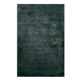 Teppich &raquo;Pisa&laquo; rund 25 mm H&ouml;he Hochflor, Microfaser, uni, weich, Shaggy, Wohnzimmer, Schlafzimmer grau Polyester B : 120cm 1 Stk., 25mm, L: 170cm