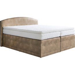 Westfalia Schlafkomfort Boxspringbett &raquo;Madeira&laquo; Lederoptik Microvelours Ohne Bettkasten,Mit Topper, Liegefl&auml;che B/L: 200cm x 200cm, Gewicht bis: 120 kg H4, 5-Zonen-Taschen-