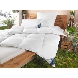 H&auml;ussling Daunenbettdecke &raquo;GR&Ouml;NLAND Made in Green&laquo; warm F&uuml;llung neue, wei&szlig;e 90% Daunen/10% Federn, Kl. 1 1 Stk. tlg. hochwertiges Daunenprodukt" Made in Green" 