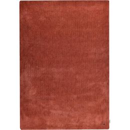 Tom Tailor HOME Hochflor-Teppich &raquo;Shaggy Teppich Cozy&laquo; rechteckig 25 mm H&ouml;he Uni Farben, auch in Pastell Farben, weich & kuschelig braun Polyester B :