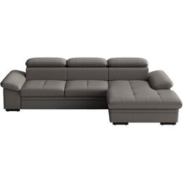 Sit & More sit&more Ecksofa &raquo;Viola, Leder, L-Form, B: 260 cm, mit Armteil- und Kopfteilvertsellung&laquo; optional mit Schlaffunktion grau B/H/T: 260cm x 73cm x 174cm,