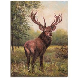 Artland Wandbild &raquo;Hirsch&laquo; Wildtiere 1 Stk. tlg. als Leinwandbild, Poster in verschied. Gr&ouml;&szlig;en gr&uuml;n Leinwand B/H/T: 30cm x 40cm, Leinwandbild Wildtiere 