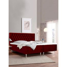 Home Affaire Boxspringbett &raquo;Exclusive&laquo; inkl. Topper, 3 Breiten, 3 H&auml;rtegrad-Ausf&uuml;hrungen rot Samtoptik (100% Polyester) Samtoptik, Liegefl&auml;che B/L: 