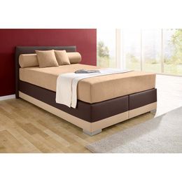 Maintal Boxspringbett &raquo;Lago&laquo; in 3 verschiedenen Matratzenarten, H2 oder H3 braun Bezug Kopteil und seitliche Unterbox wahlweise Microvelours aus 100% 