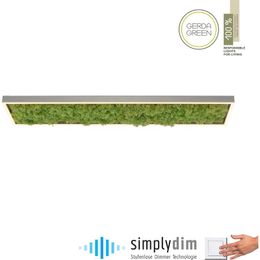 JUST LIGHT Deckenleuchte &raquo;GREEN KNUT&laquo; LED-Board 1 Stk. Warmwei&szlig; gr&uuml;n 1, H: 5,6cm, 1 Stk.