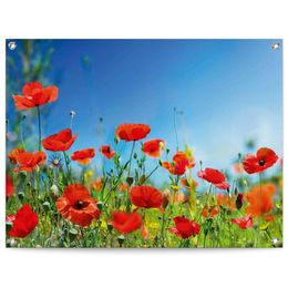 Reinders Poster &raquo;Sommerblumen&laquo; Outdoor f&uuml;r Garten oder Balkon rot Leinwand B/H/T: 80cm x 60cm x 0,1cm