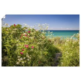 Artland Wandbild &raquo;Fr&uuml;hling an der K&uuml;ste in Ahrenshoop&laquo; 1 Stk. tlg. als Alubild, Leinwandbild, Poster, Wandaufkleber in verschied. Gr&ouml;&szlig;en gr&uuml;n B/H/T: 120cm x 