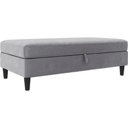 Stauraumhocker &raquo;Hartford&laquo; Polsterhocker mit Stauraum, frei im Raum stellbar, Sitzh&ouml;he 43 cm grau B/H/T: 130cm x 43cm x 69cm, Samtvelours