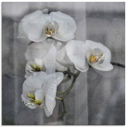 Artland Glasbild &raquo;Weisse Orchideen - white Orchid&laquo; Blumen 1 Stk. tlg. in verschiedenen Gr&ouml;&szlig;en schwarz B/H/T: 50cm x 50cm, Glasbild Blumen quadratisch, 1 Stk.