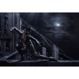 papermoon Fototapete &raquo;CAT WOMAN-SUPERHELDIN II&laquo; bunt Vlies B/L: 1,5m x 1,11m, Bahnen: 7 Stk.
