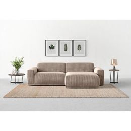Trendmanufaktur Ecksofa &raquo;Braga, mit hochwertigem Kaltschaum, L-Form, in Cord erh&auml;ltlich&laquo; modernes Sofa, Couch mit hohem Sitzkomfort, 255/72/160 cm (B/
