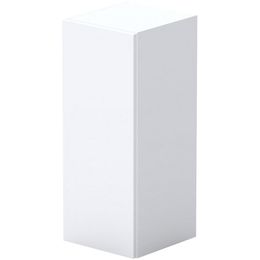 Home Affaire Mehrzweckschrank &raquo;Infinity Breite 29 cm, H&ouml;he 69 cm, H&auml;ngeschrank mit 1 T&uuml;r,&laquo; Wandschrank senkrecht zu h&auml;ngen, verschiedene Farben wei&szlig; 