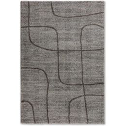 Astra Teppich &raquo;Samoa 252&laquo; rechteckig 20 mm H&ouml;he Indoor, Designed in Germany, Oeko-Tex Polypropylen B : 200cm 1 Stk., 20mm, L: 290cm