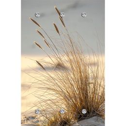 queence Garderobenleiste &raquo;Strand&laquo; mit 6 Haken, 80 x 120 cm braun Acrylglas, Edelstahl B/H/T: 80cm x 120cm x 5cm