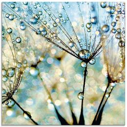 Artland Glasbild &raquo;Pusteblume Blaue Diamanten&laquo; Blumen 1 Stk. tlg. in verschiedenen Gr&ouml;&szlig;en blau B/H/T: 30cm x 30cm, Glasbild Blumen quadratisch, 1 Stk.